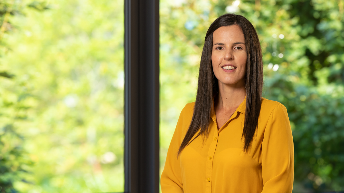 services - ACM - A C Mole - Chartered Accounts and Tax Advisors